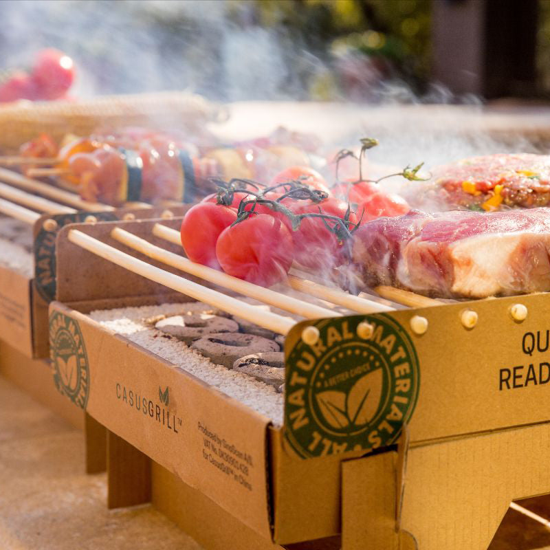 CasusGrill bio-degradable single-use barbecue - heats up in 5 minutes ...